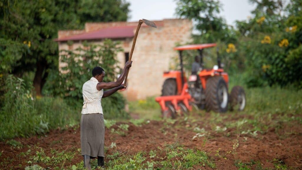 Agri-Finance Kenya: Best Farming Loans & Grants (2025 Guide) - KWETU NEWS
